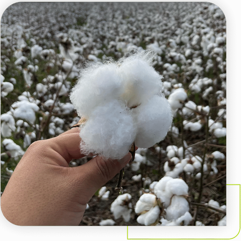 Nosotros - Agromark S.A